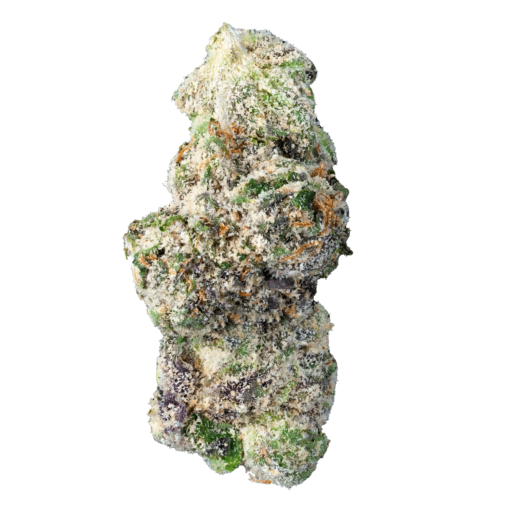 Lemon Runtz Strain | Effects & Information – Bay Smokes
