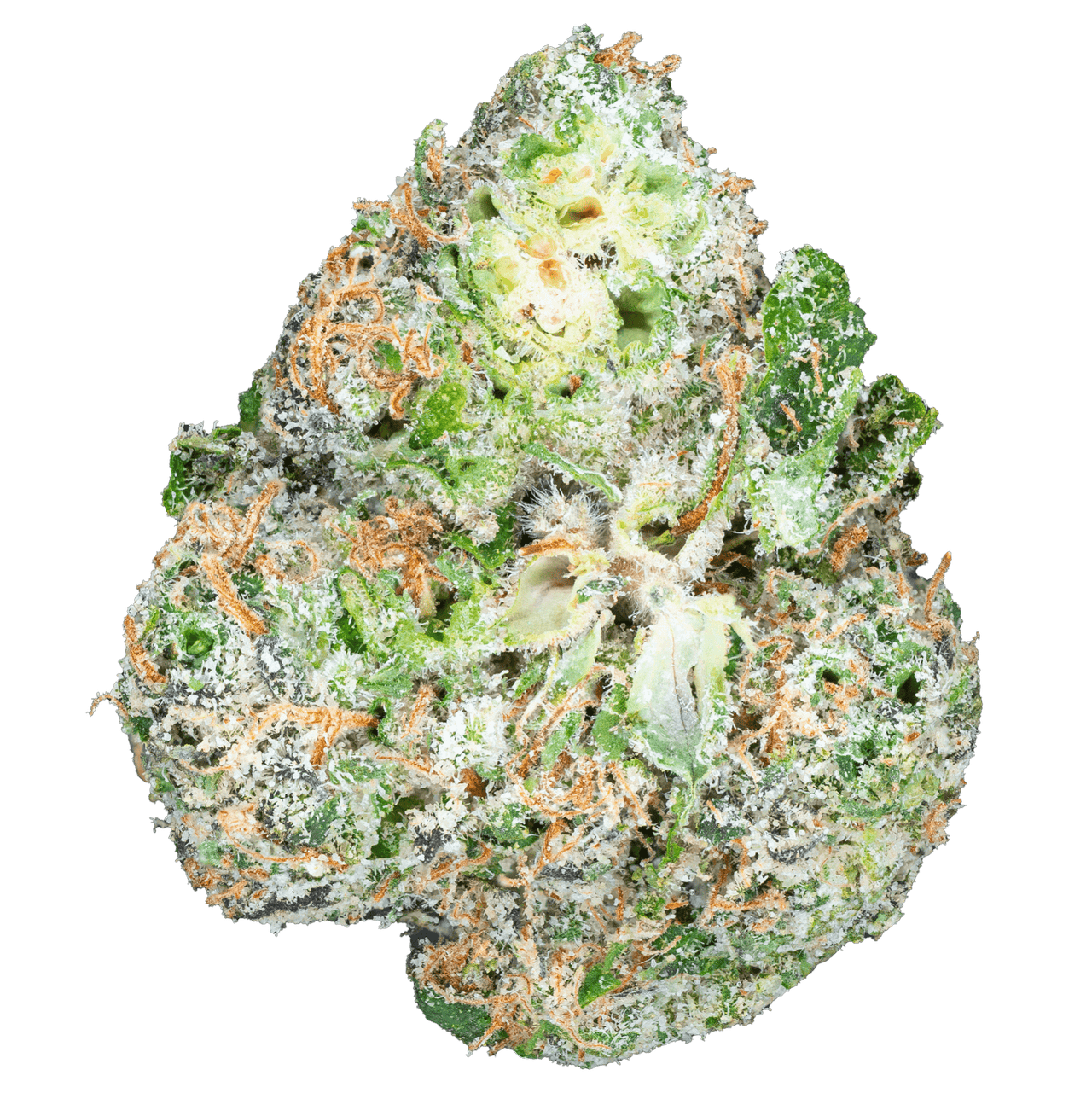 Blue Dream Strain | Effects & Information – Bay Smokes
