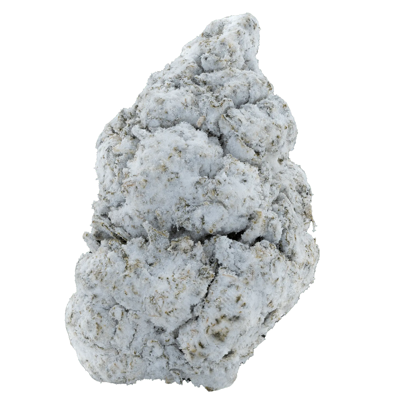 Shop Exotic Snowballs THCa Flower – Bay Smokes