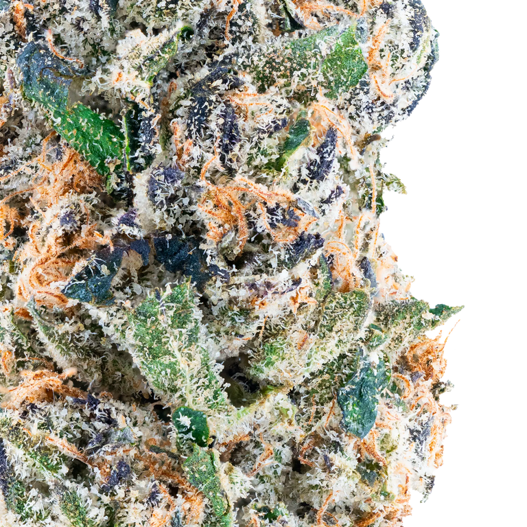 Tres Leches THCa Flower Strain | Effects & Information