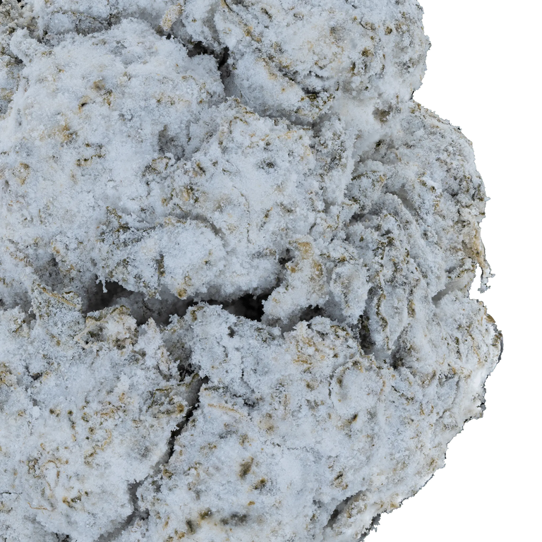 Shop Exotic Snowballs THCa Flower – Bay Smokes