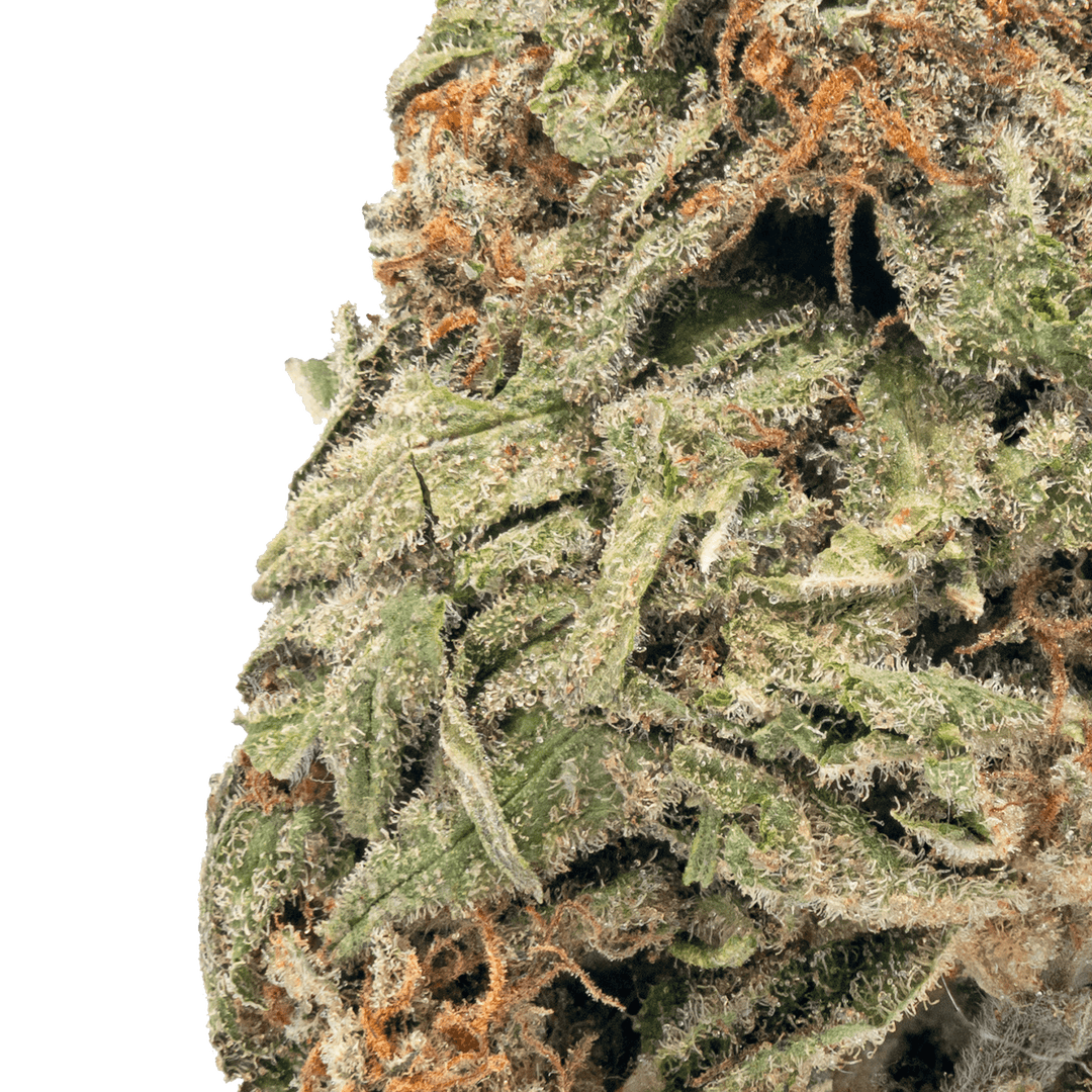 Blue Dream Strain | Effects & Information – Bay Smokes