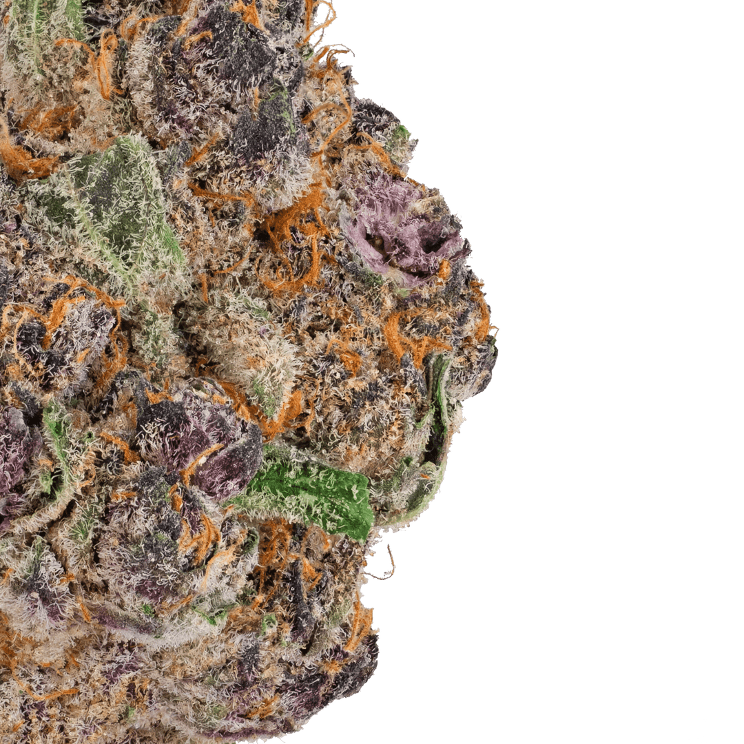 Buy Blue Cherry Gelato | Effects & Information – Bay Smokes