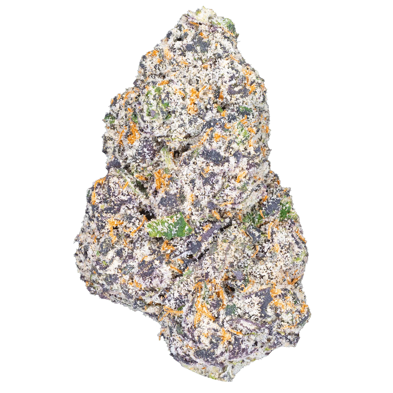 White Truffle Weed Strain | Bay Smokes
