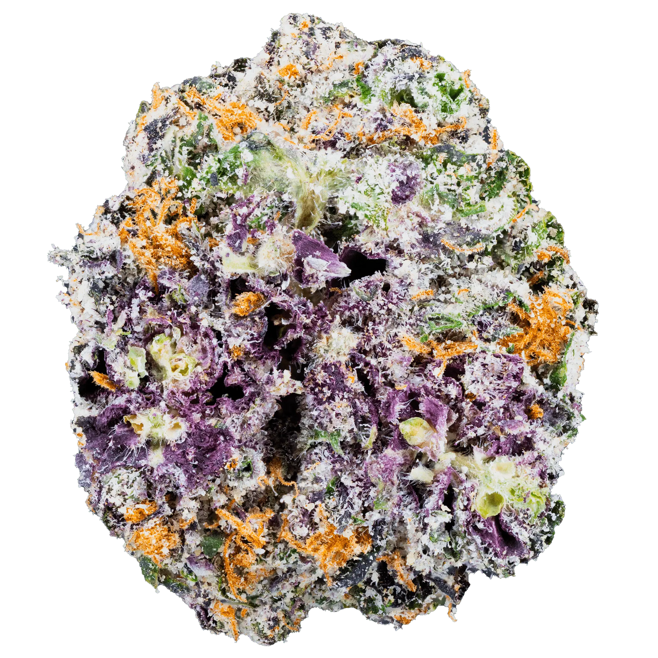 White Truffle Weed Strain | Bay Smokes