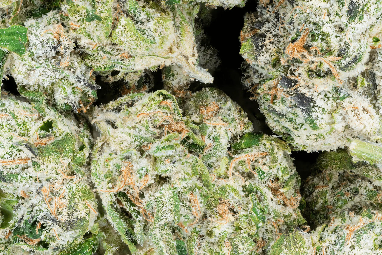 About Bay Smokes THCa Dispensary