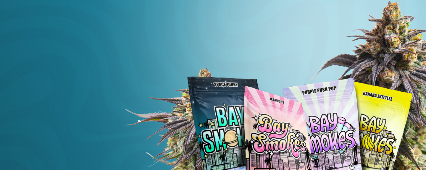 Shop THCA Flower Dispensary Nationwide | Bay Smokes