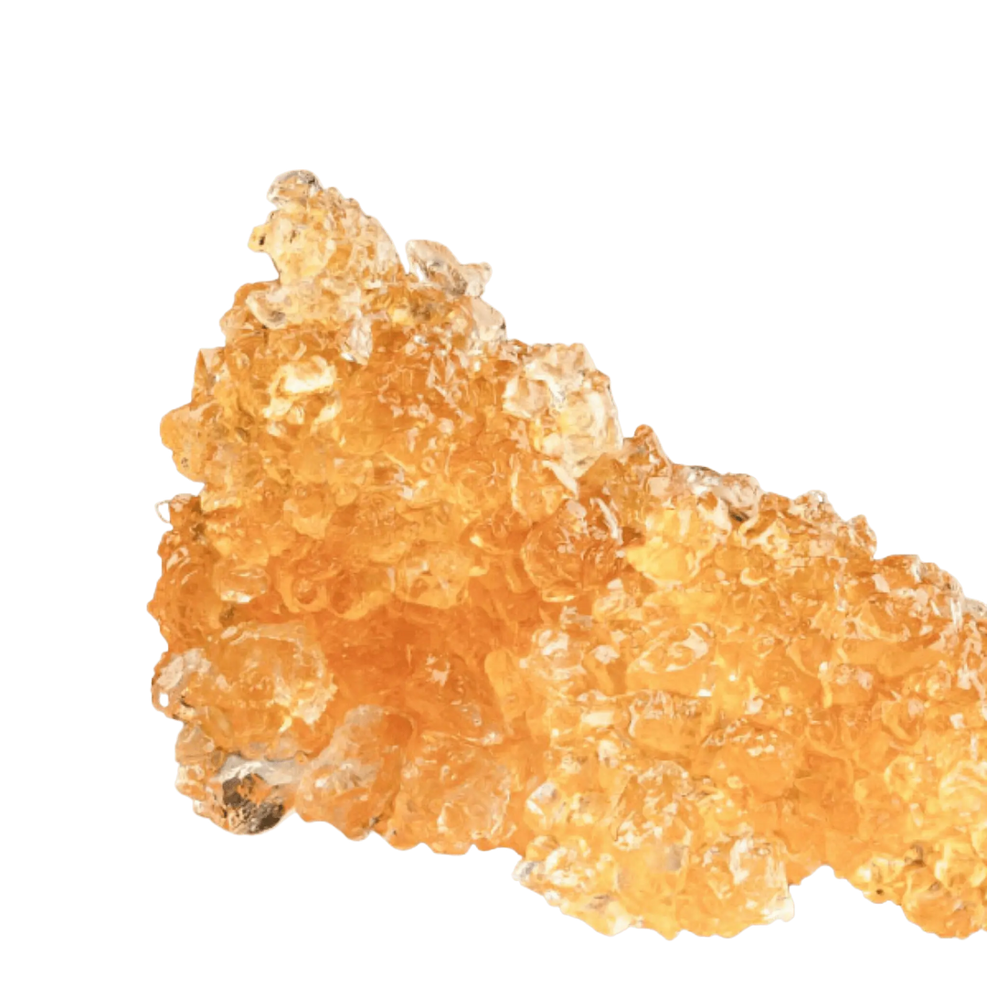 Only Gas – Bay Smokes