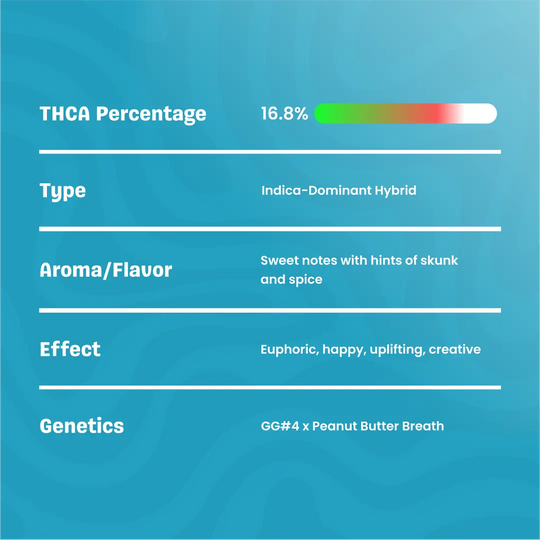 White Truffle Weed Strain | Bay Smokes