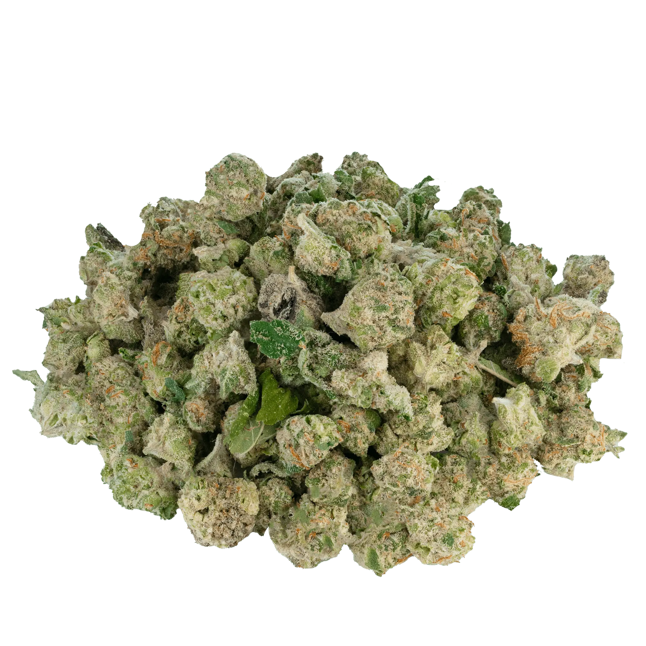 Only Gas – Bay Smokes